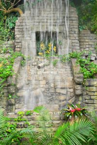 An insider's guide to the Cleveland Zoo - Family Travels on a Budget