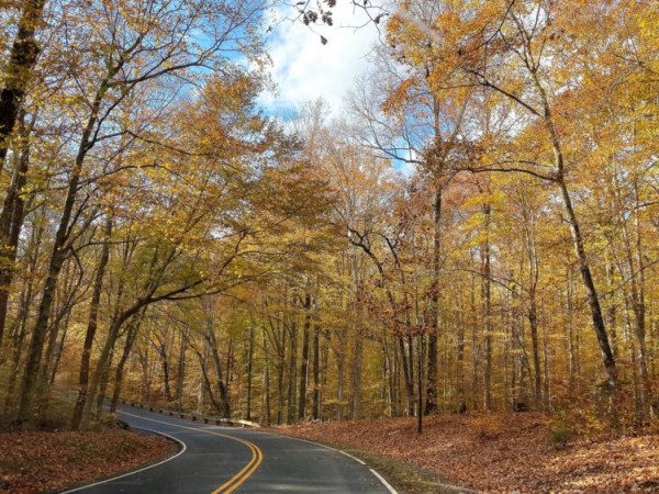 Best Parks in Northern Virginia for Families (2023) - Family Travels on ...