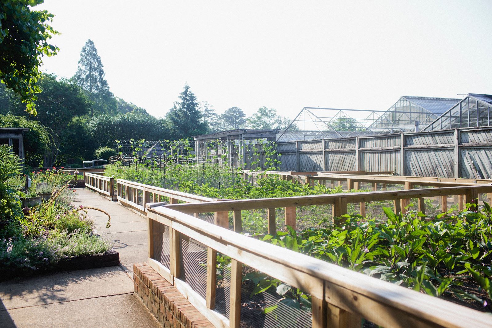 Visiting the botanical Gardens in Birmingham, Alabama - Family Travels ...