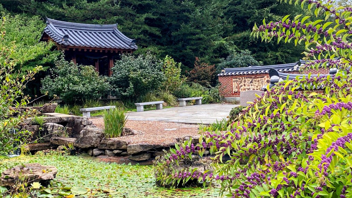 Explore Meadowlark Botanical Gardens - Family Travels on a Budget