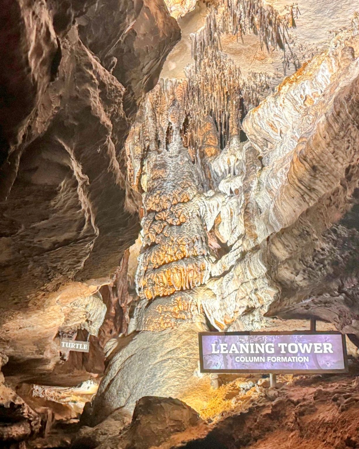 Chattanooga: Ruby Falls Cave Tour - Family Travels on a Budget